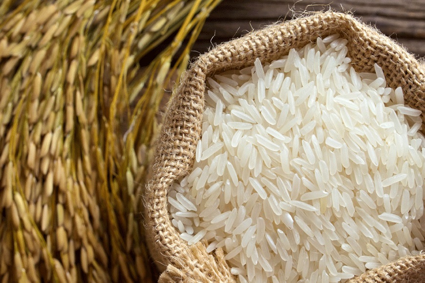 İranian rice -Direct sales from the farmer - MT ROYAL